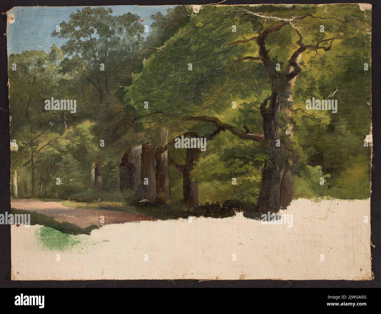 Forest landscape, sketch. Breslauer, Chrystian (1802-1882), painter ...