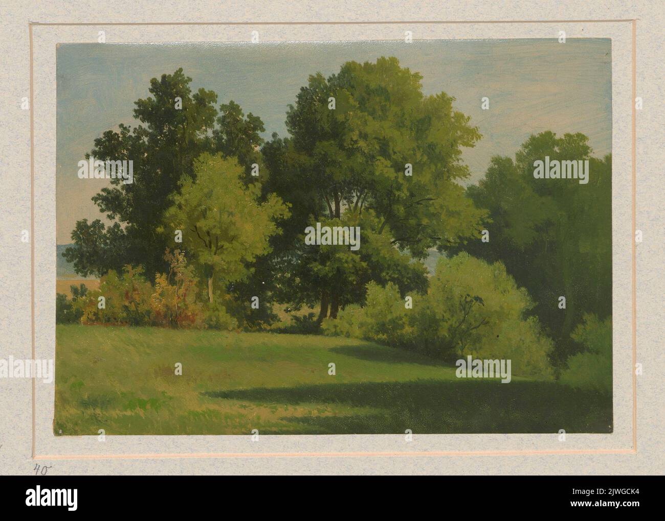 Meadow with a thicket of trees and bushes. Blaschnik, Arthur (1823-1918 ...