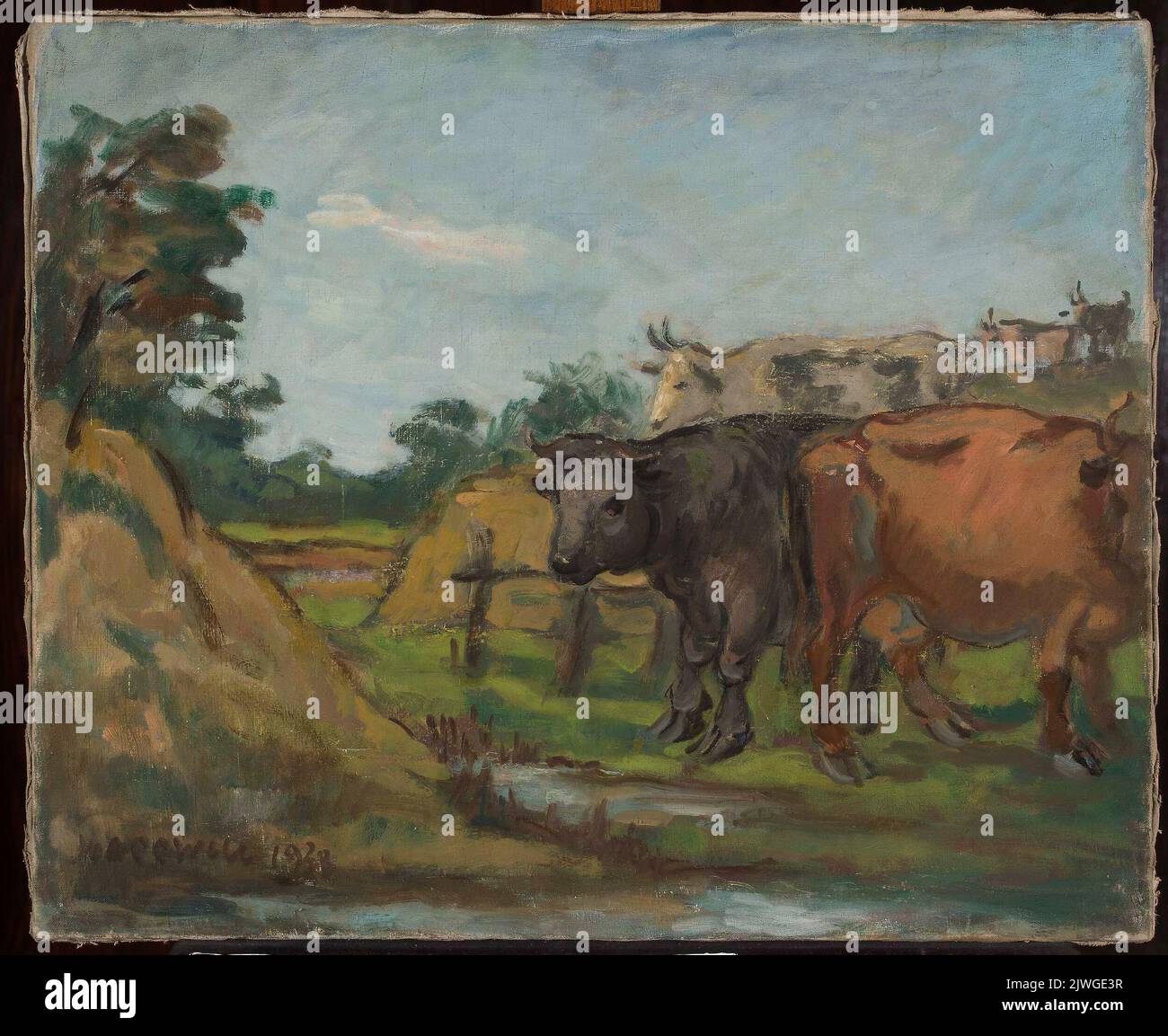 Cows by a river hi-res stock photography and images - Alamy