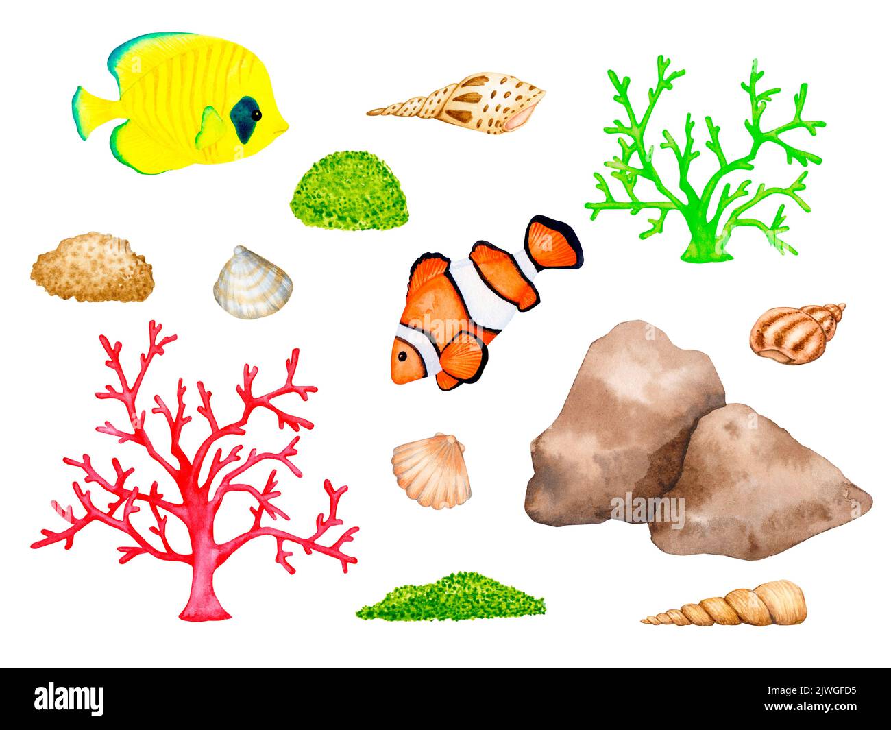 Large set of sea, ocean, aquarium, marine watercolor elements. Exotic fish, shells, corals ...
