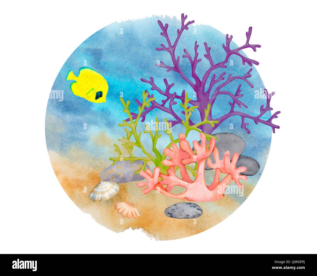 Colourful tropical coral reef underwater Cut Out Stock Images ...