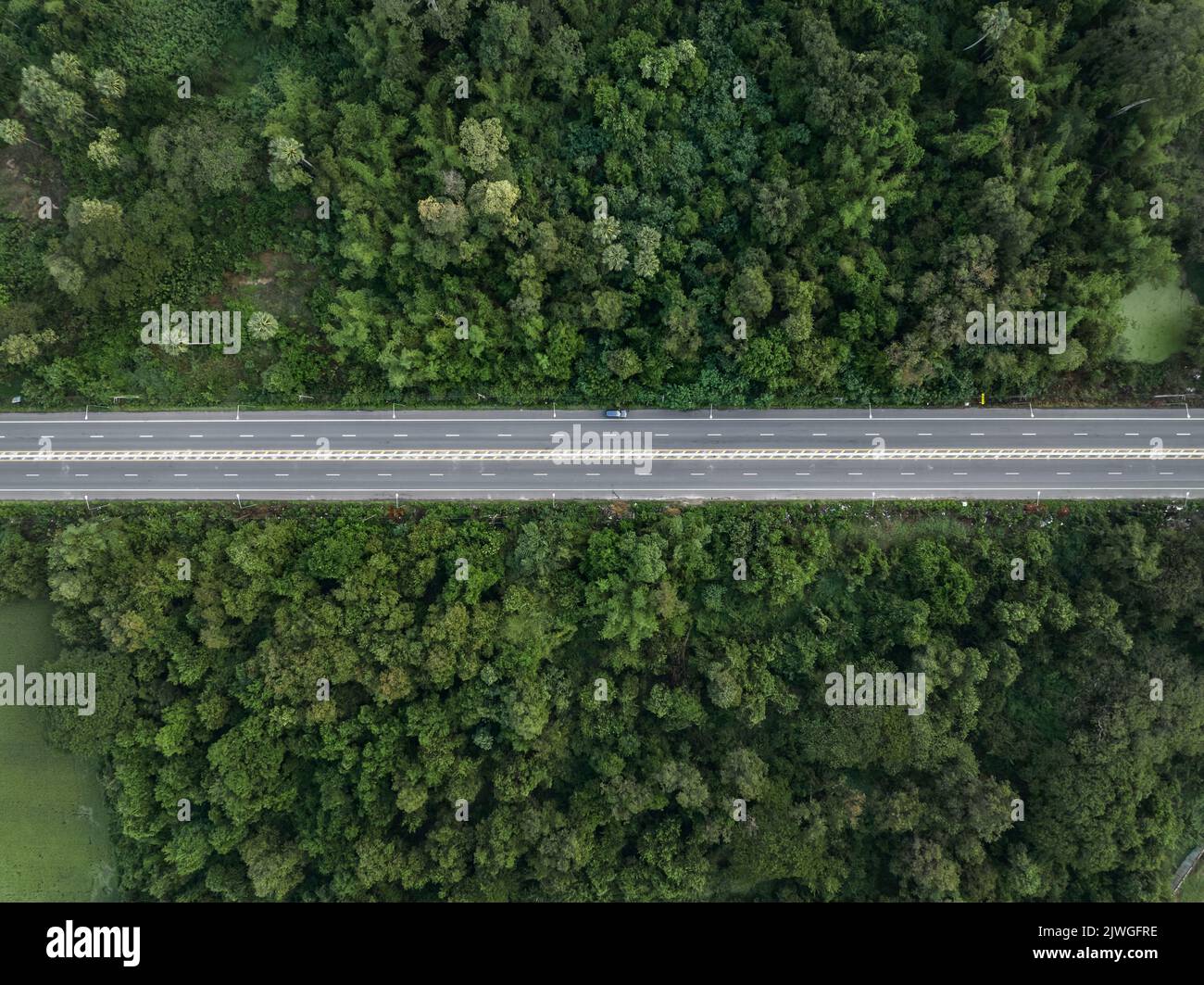 Aerial view from drone of straight two lane road with both sides is ...