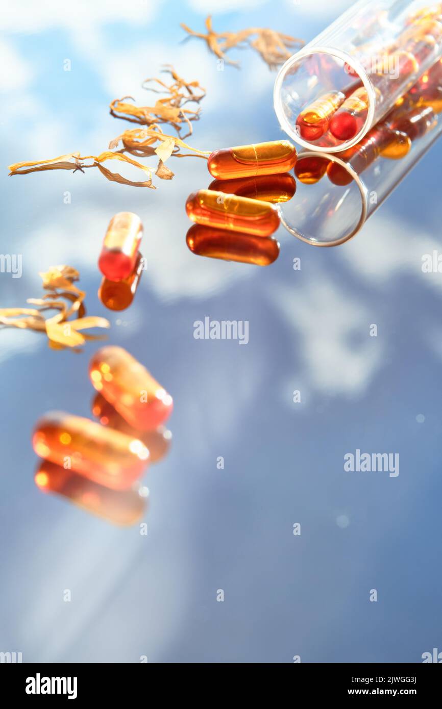 Curcumin in liquid form. Herbal capsules, herb turmeric capsules on ...