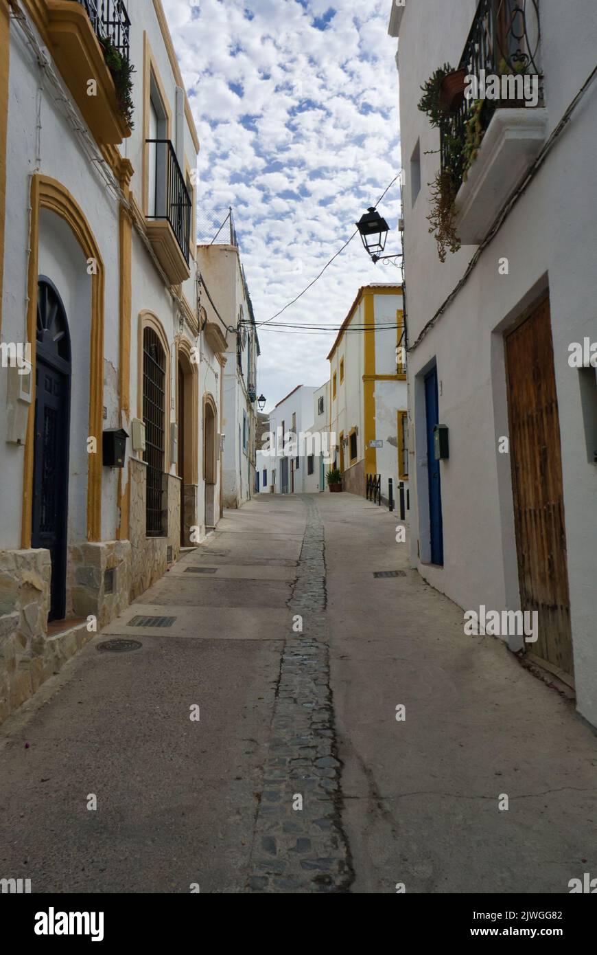A vertical shot of a narrow alley with beautiful traditional buildings ...