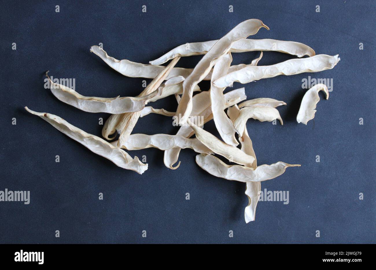 Bush bean hi-res stock photography and images - Alamy