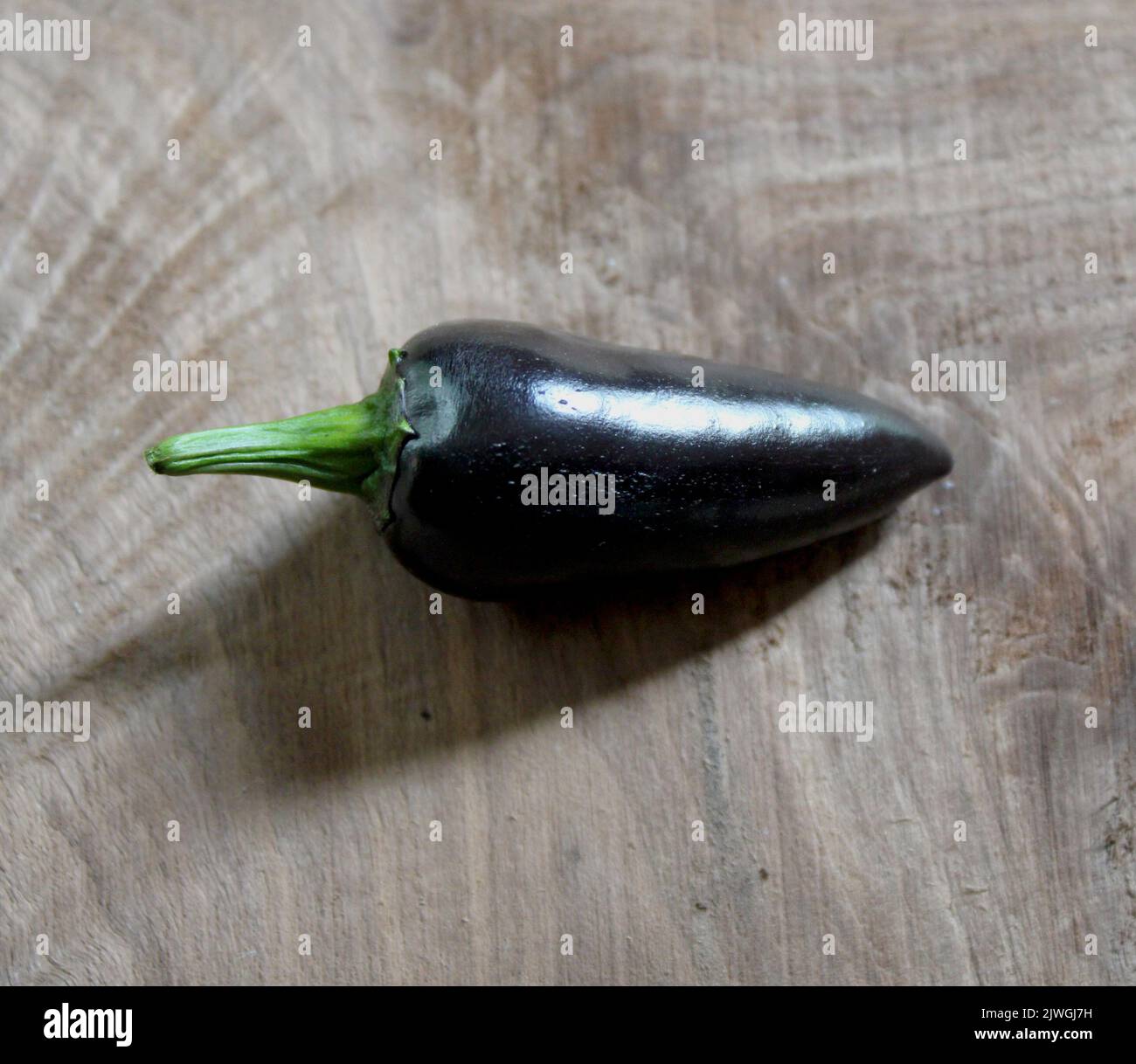 Hungarian pepper hi-res stock photography and images - Alamy
