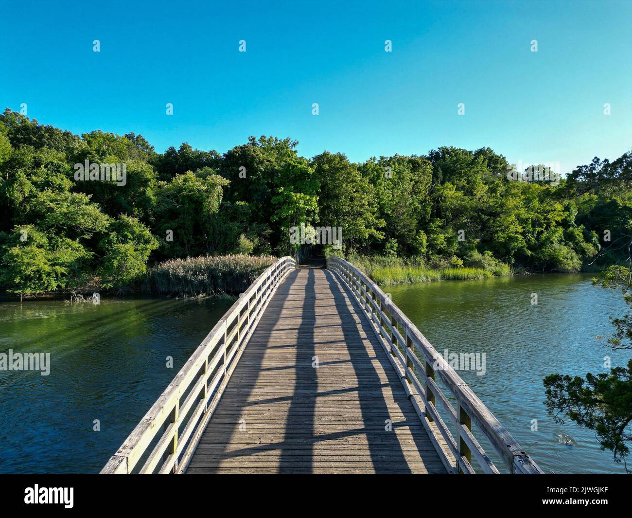 Sunken wood brush hi-res stock photography and images - Alamy
