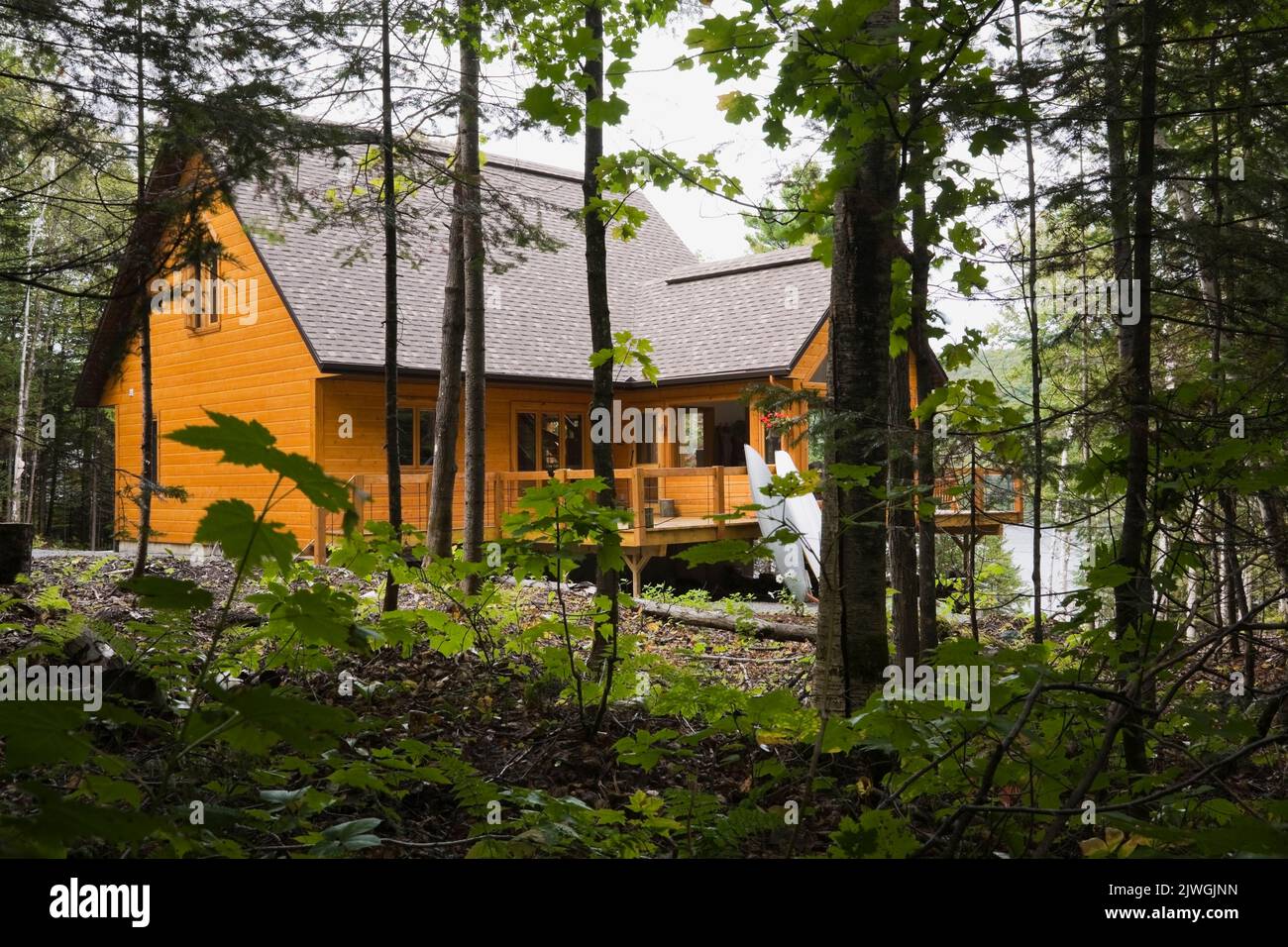 Milled Eastern white pine cottage style log cabin facade in late summer ...