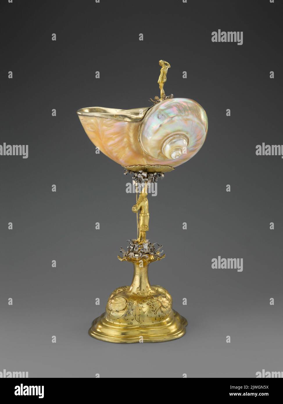 Nautilus shell cup hi-res stock photography and images - Alamy