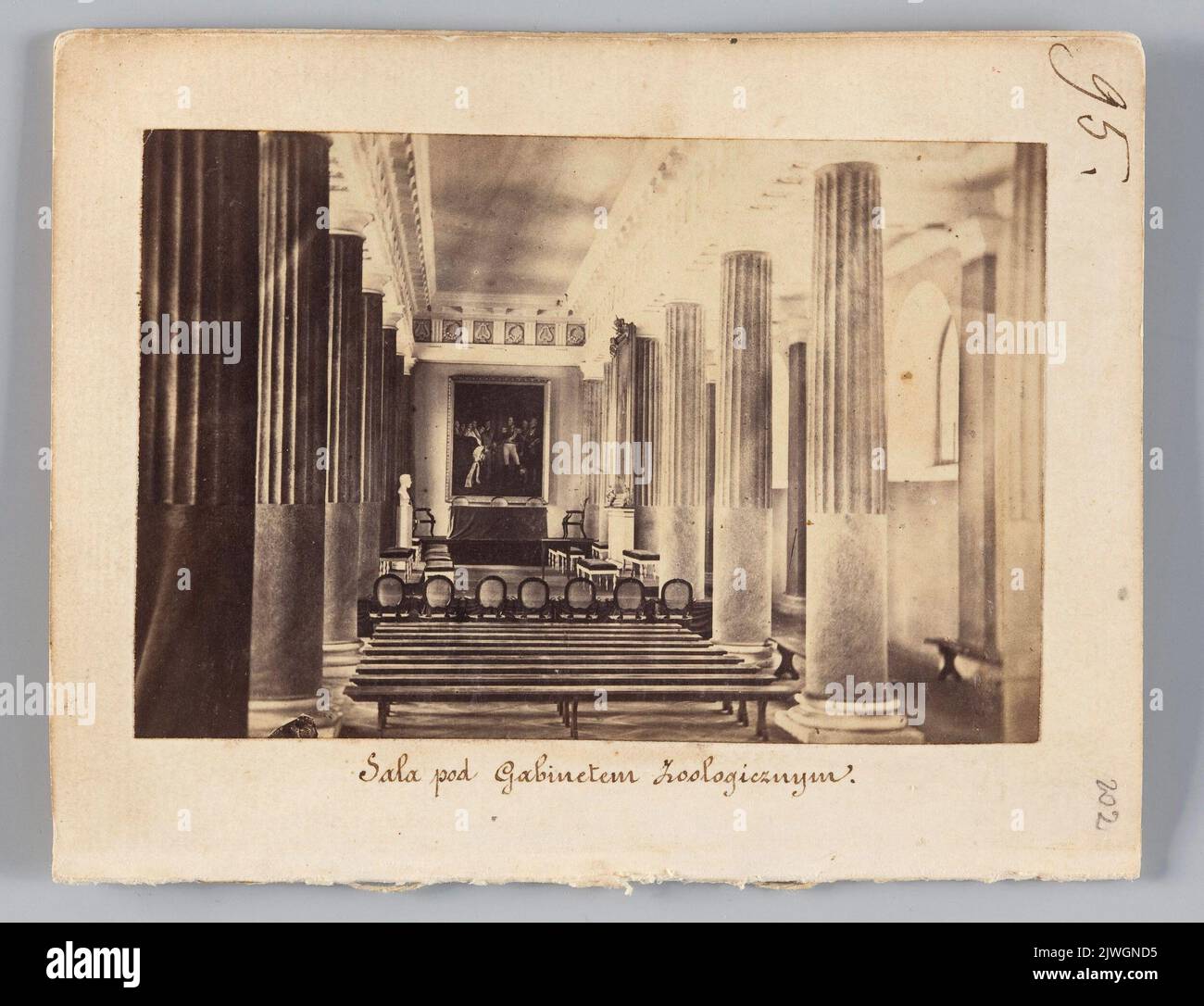 Warsaw. `Hall at the Zoological Study` (Column hall in post-museum ...