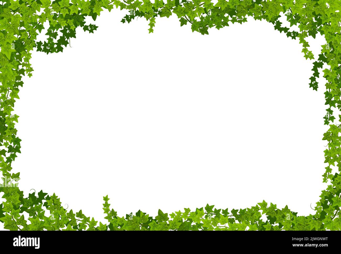 Ivy lianas frame with green leaves vector borders. Climbing plant or creeper vines with liana ...