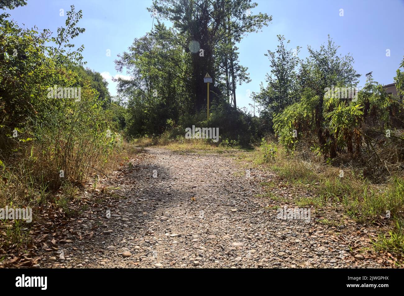 Two paths fork forest hi-res stock photography and images - Alamy