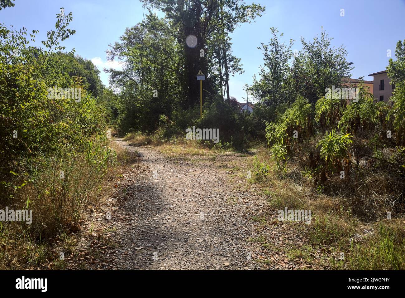 Two paths fork forest hi-res stock photography and images - Alamy
