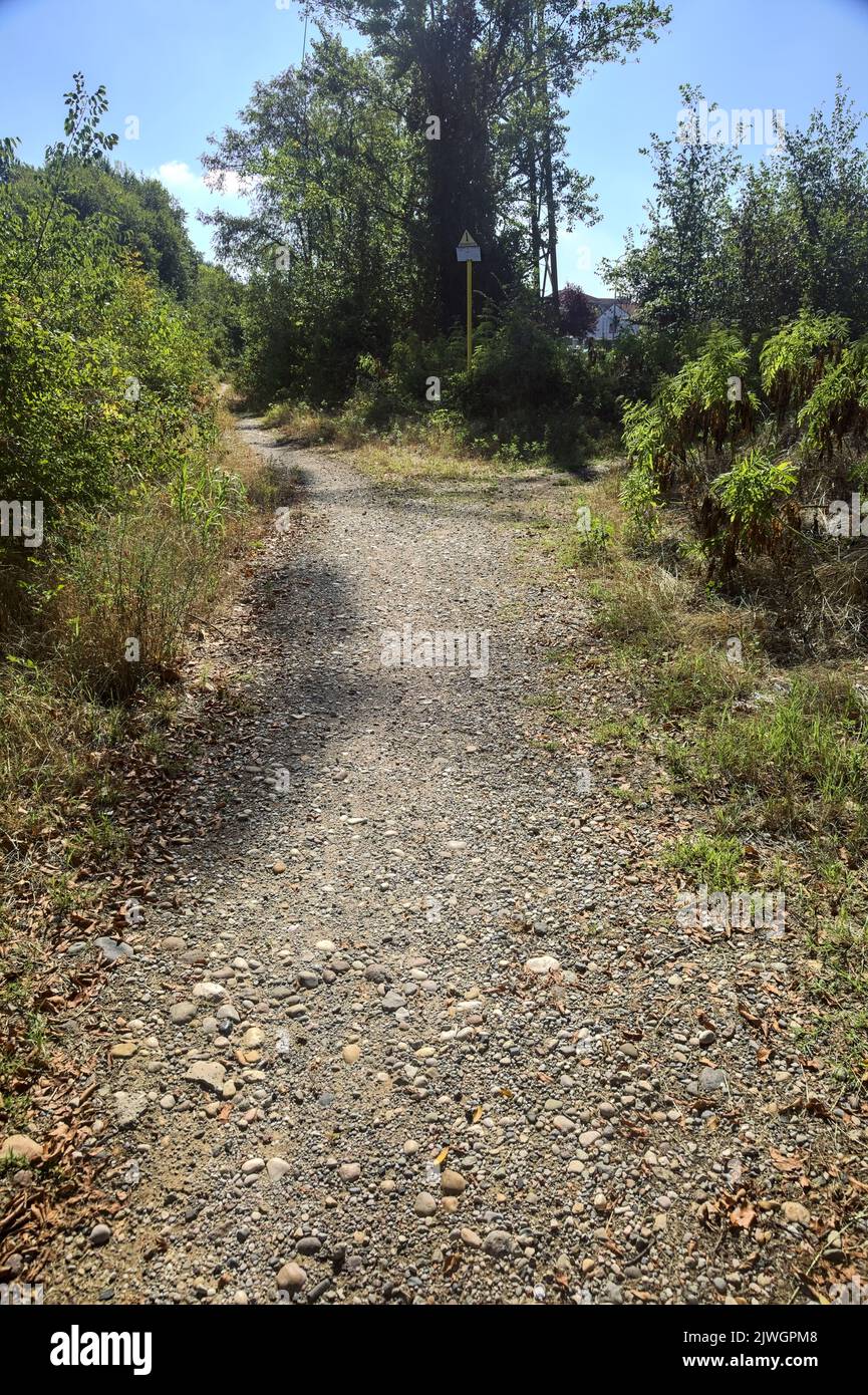 Two paths fork forest hi-res stock photography and images - Alamy