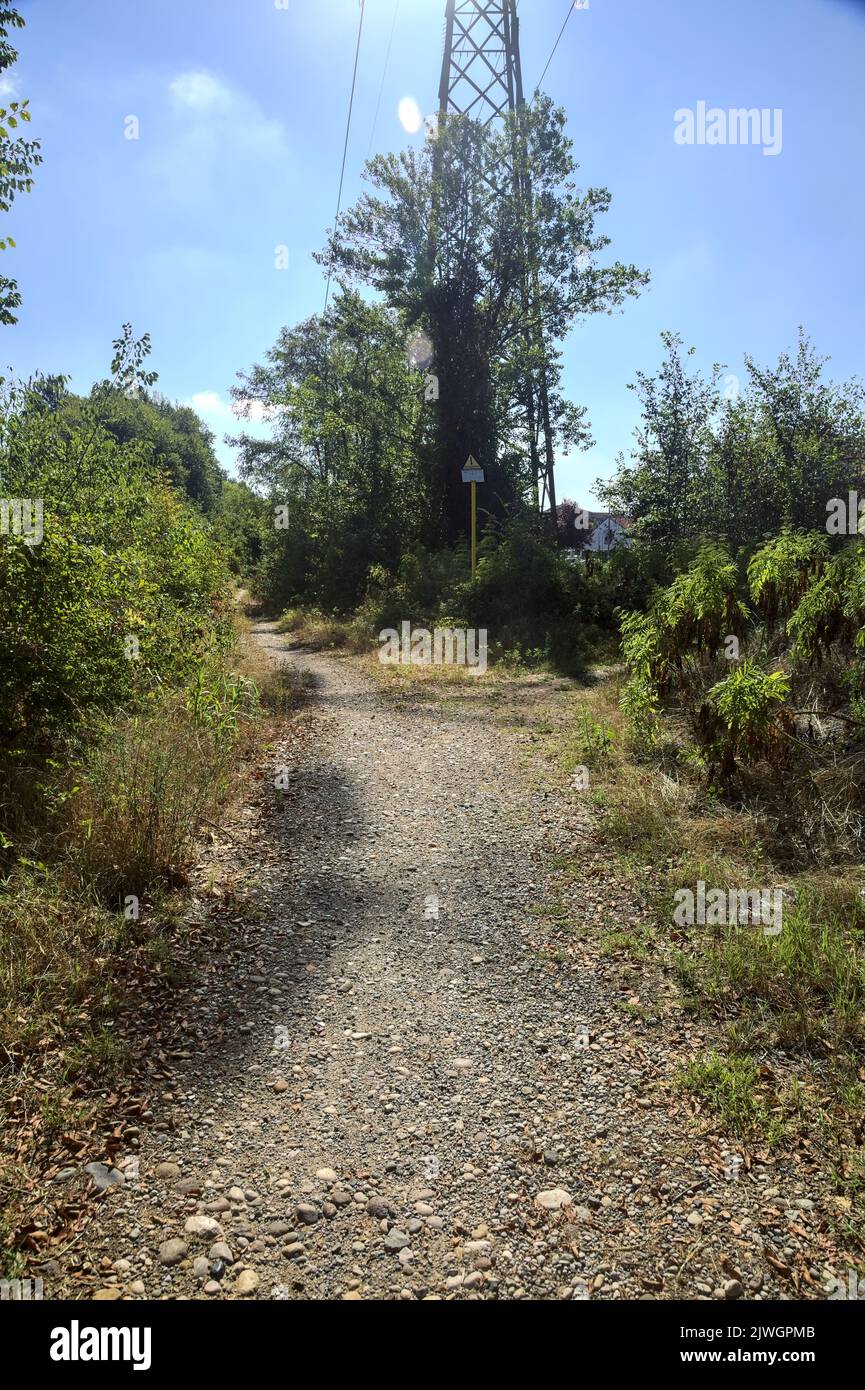 Two paths fork forest hi-res stock photography and images - Alamy