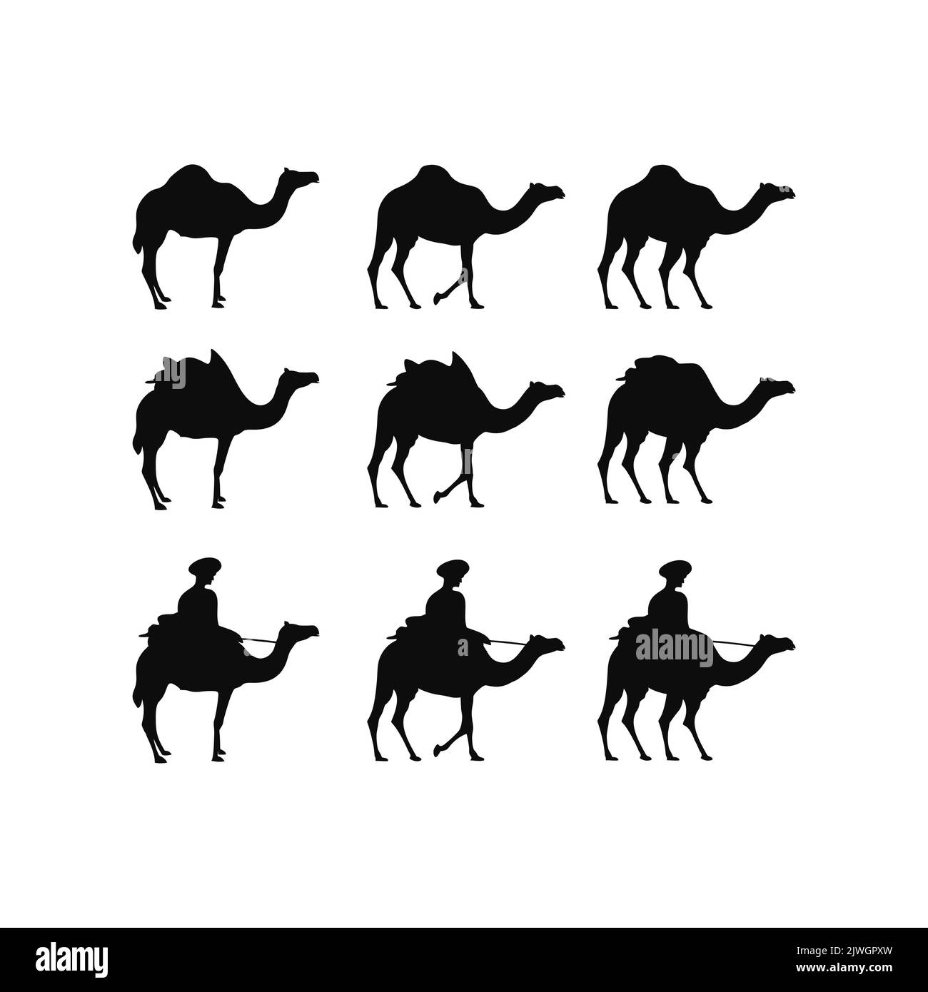Set of camel symbol illustration design element. Vector template ...