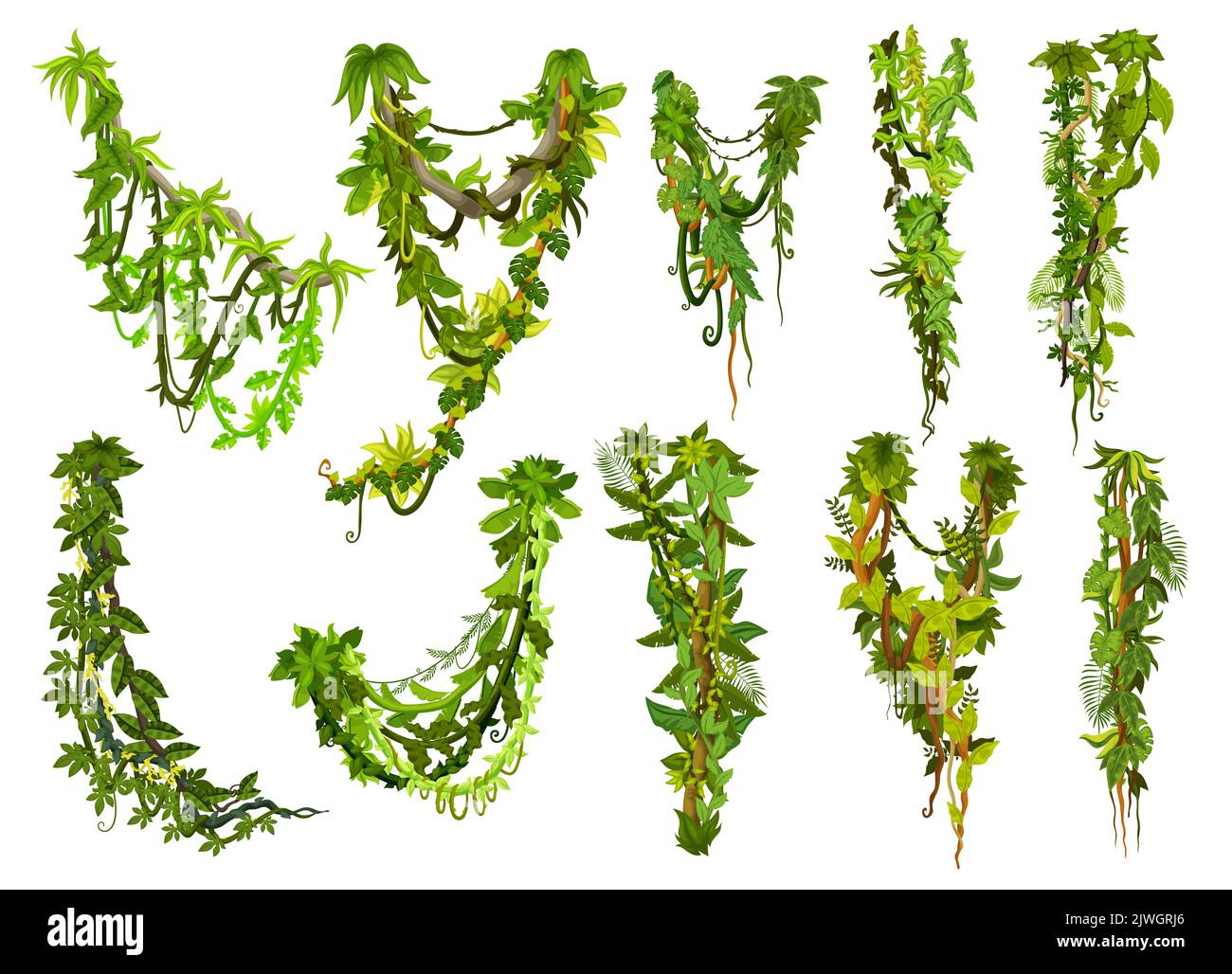 Ropes vine Stock Vector Images - Alamy