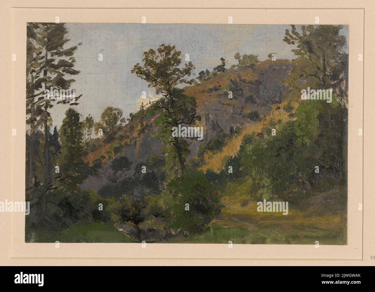 Slope overgrown with trees in the Szczawnik valley. Dressler, Adolf ...