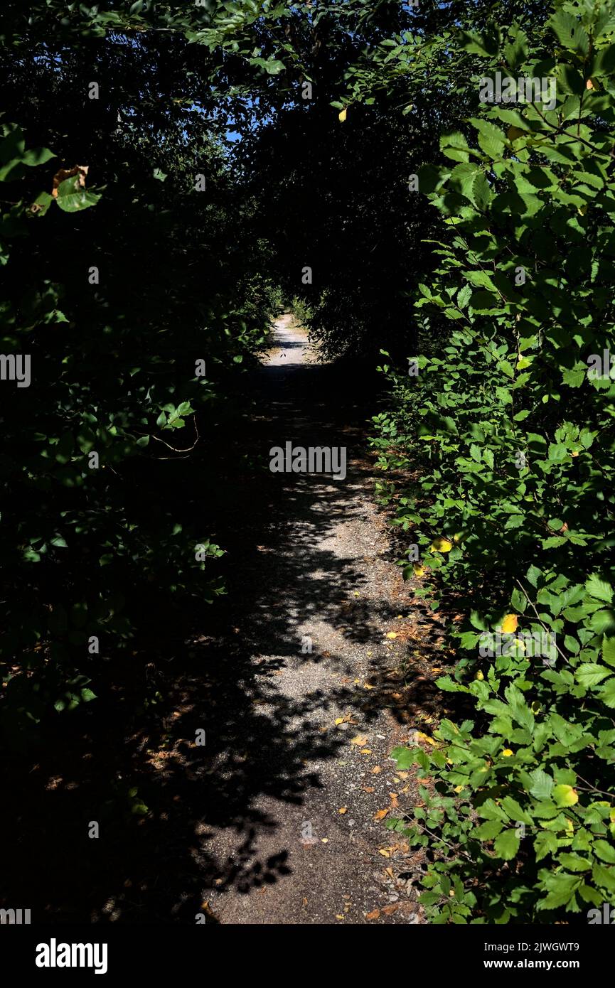 Path partially in the shade in a park on a sunny day in the countryside ...