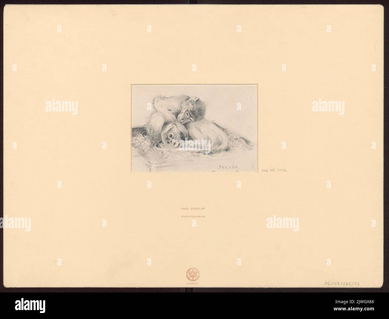Baboons. Dressler, Hans (1869-1943), draughtsman, cartoonist Stock ...