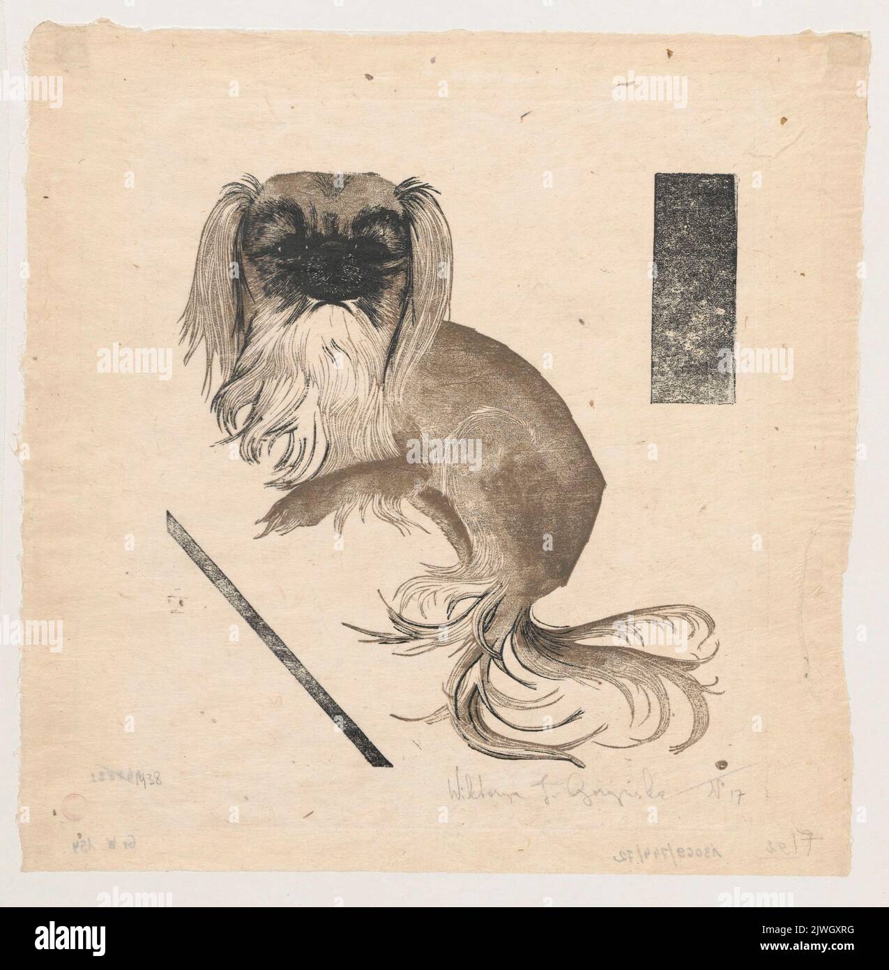 Pekińczyk. Goryńska, Wiktoria (1902-1945), graphic artist Stock Photo ...