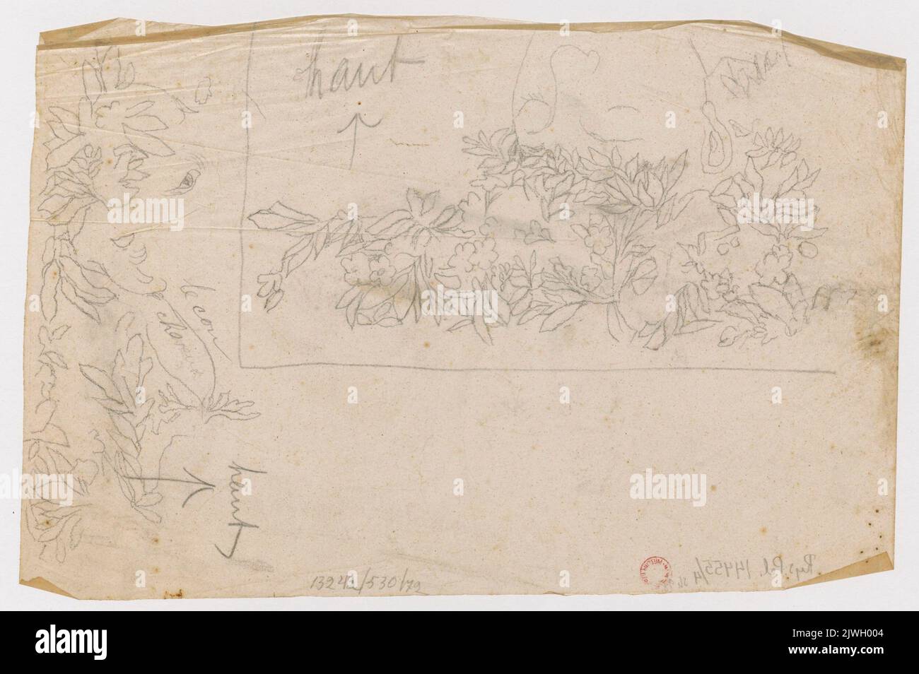 Sketch of greenery, flowers and head, tracing paper for Venus's mirror ...