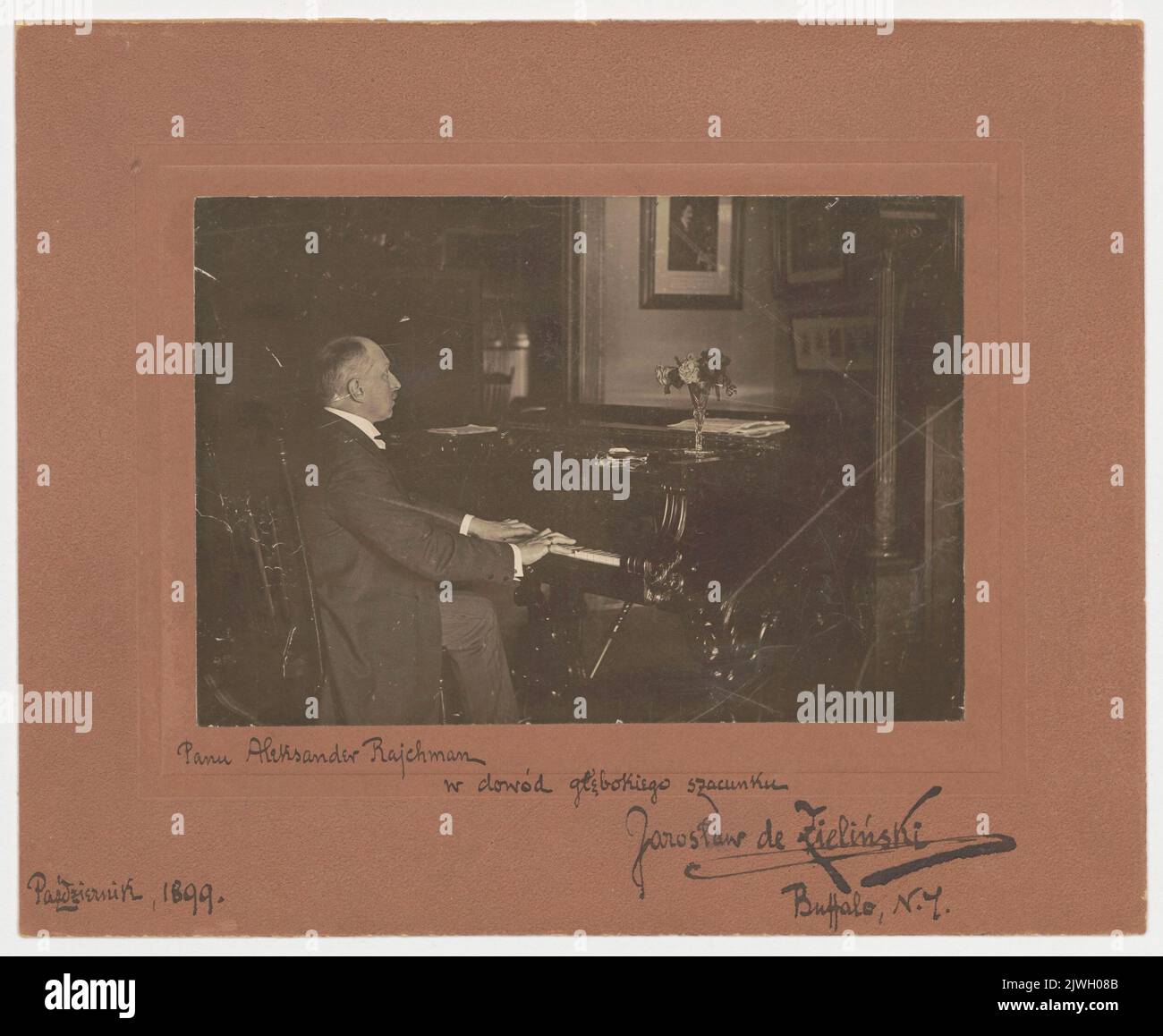 Portrait of Jarosław Zieliński (1844-1922), United States pianist and ...