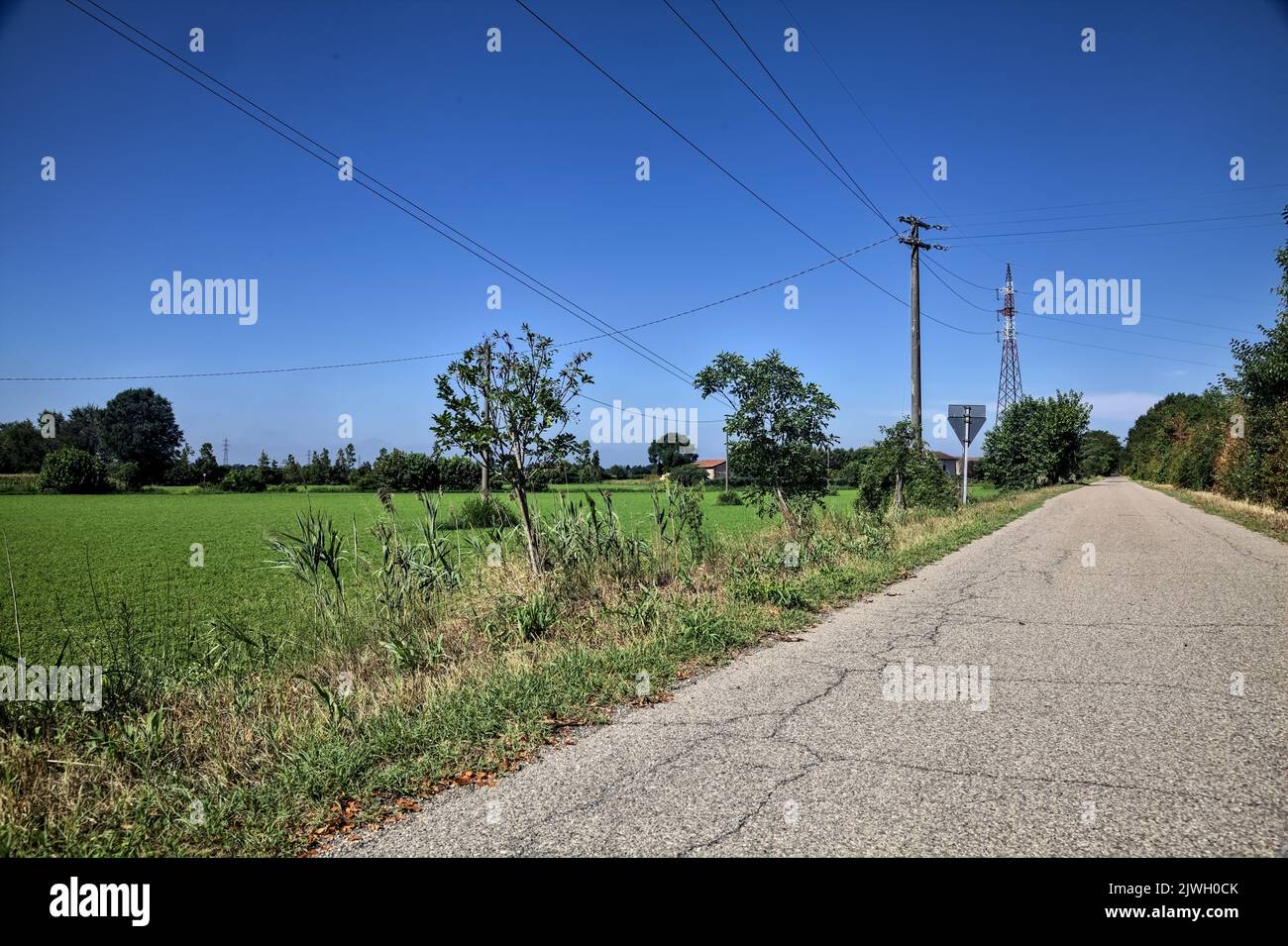 Gravel road bordered by fields with electricity poles at its edge and a ...