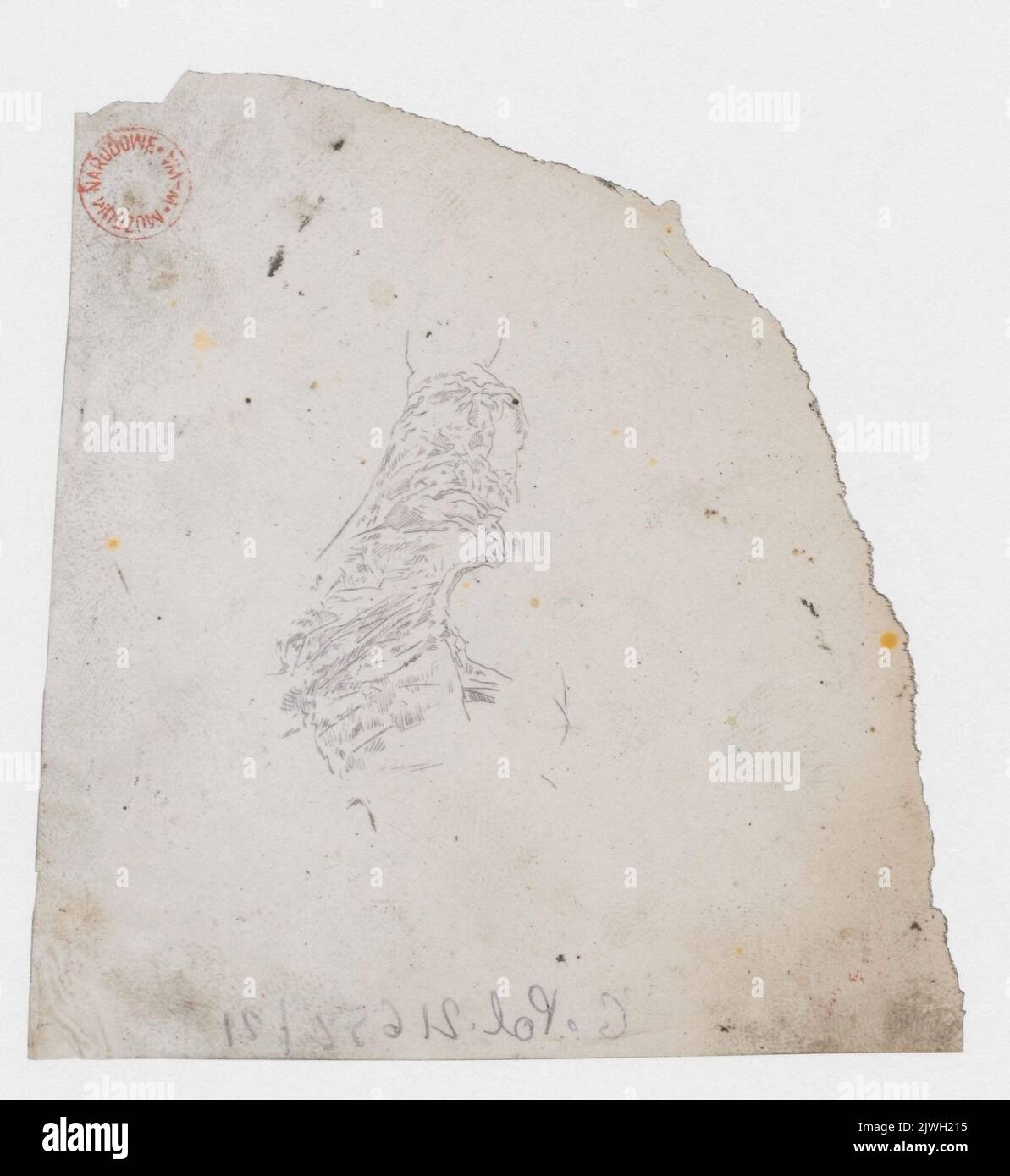 Proclamation of the Constitution of 3 May, carbon copy [fragment of the ...