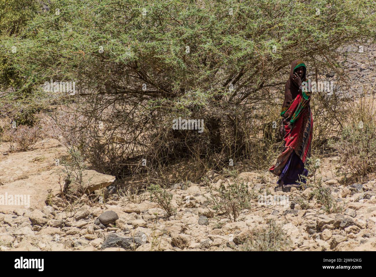 DANAKIL, ETHIOPIA - MARCH 25, 2019: Local woman in Afar region ...