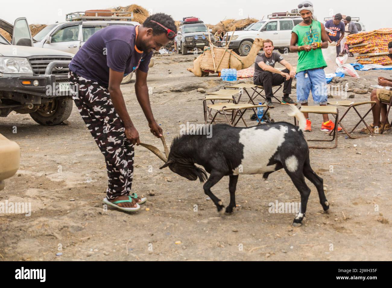 AFAR, ETHIOPIA - MARCH 25, 2019: Man fighting a goat in Dodom village ...