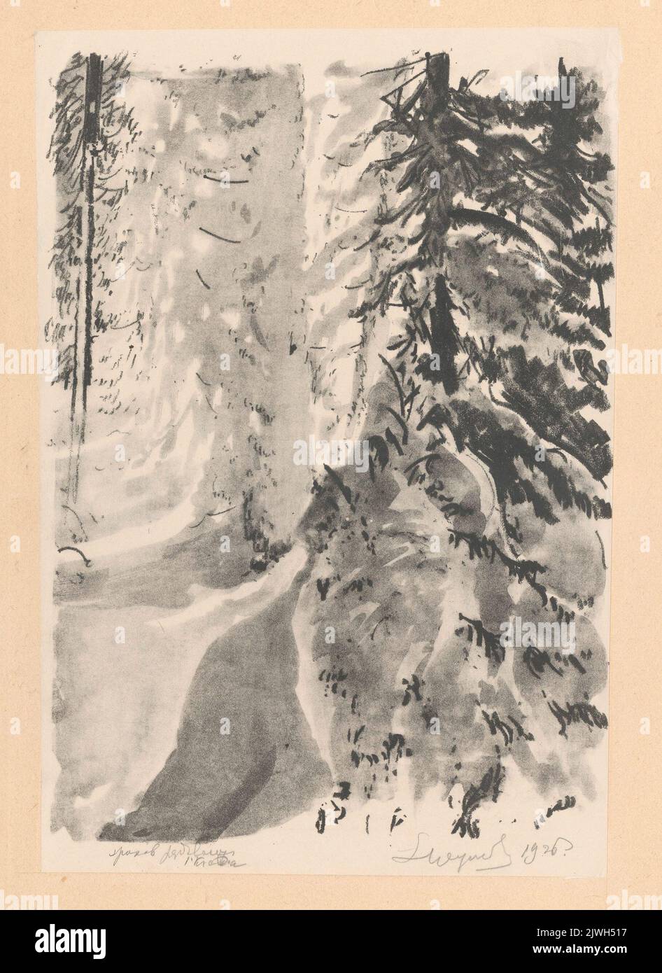 Snow-clad trees. Wyczółkowski, Leon (1852-1936), graphic artist Stock ...
