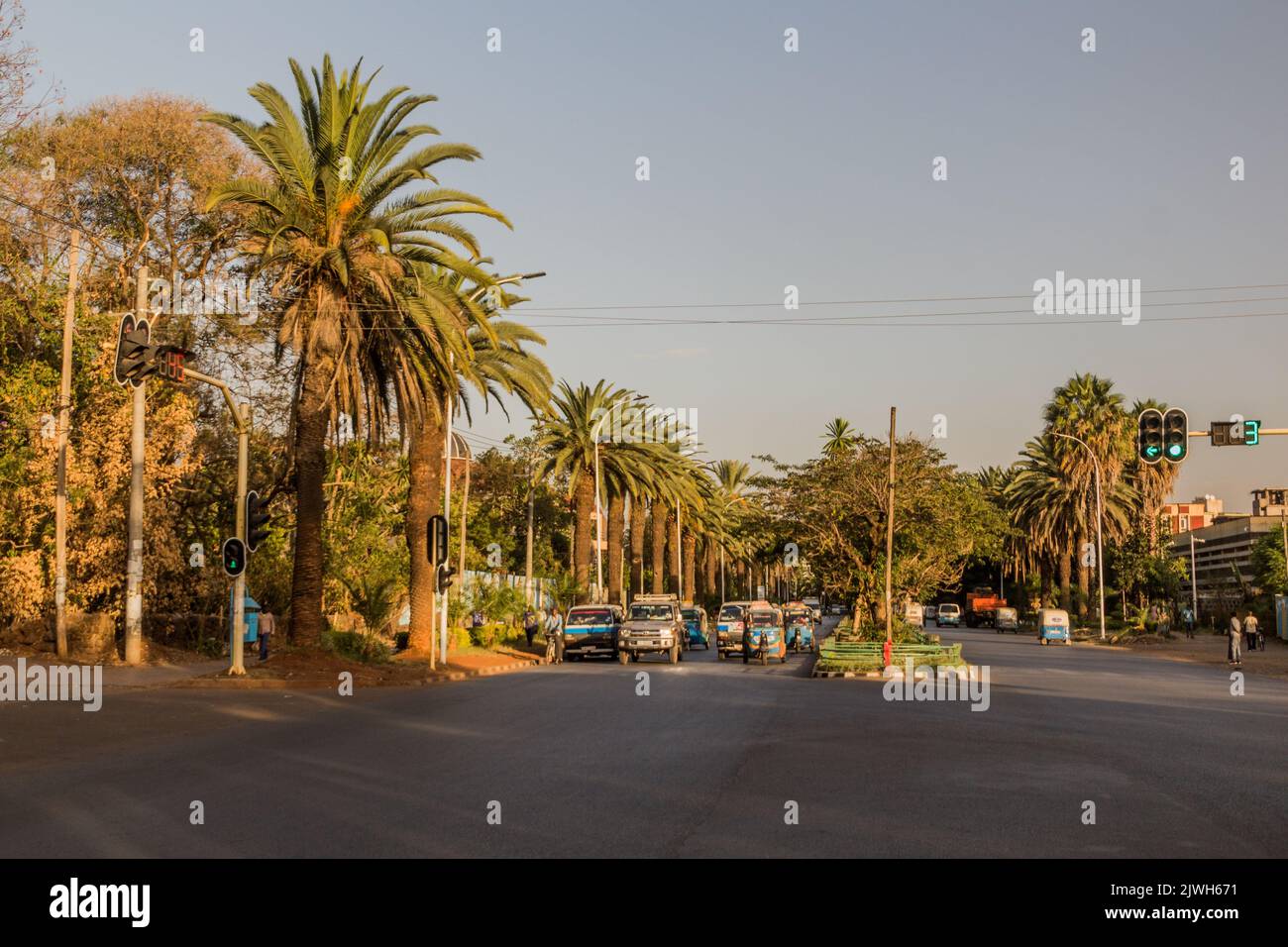 BAHIR DAR, ETHIOPIA - MARCH 31, 2019: Palm lined avenue in Bahir Dar ...