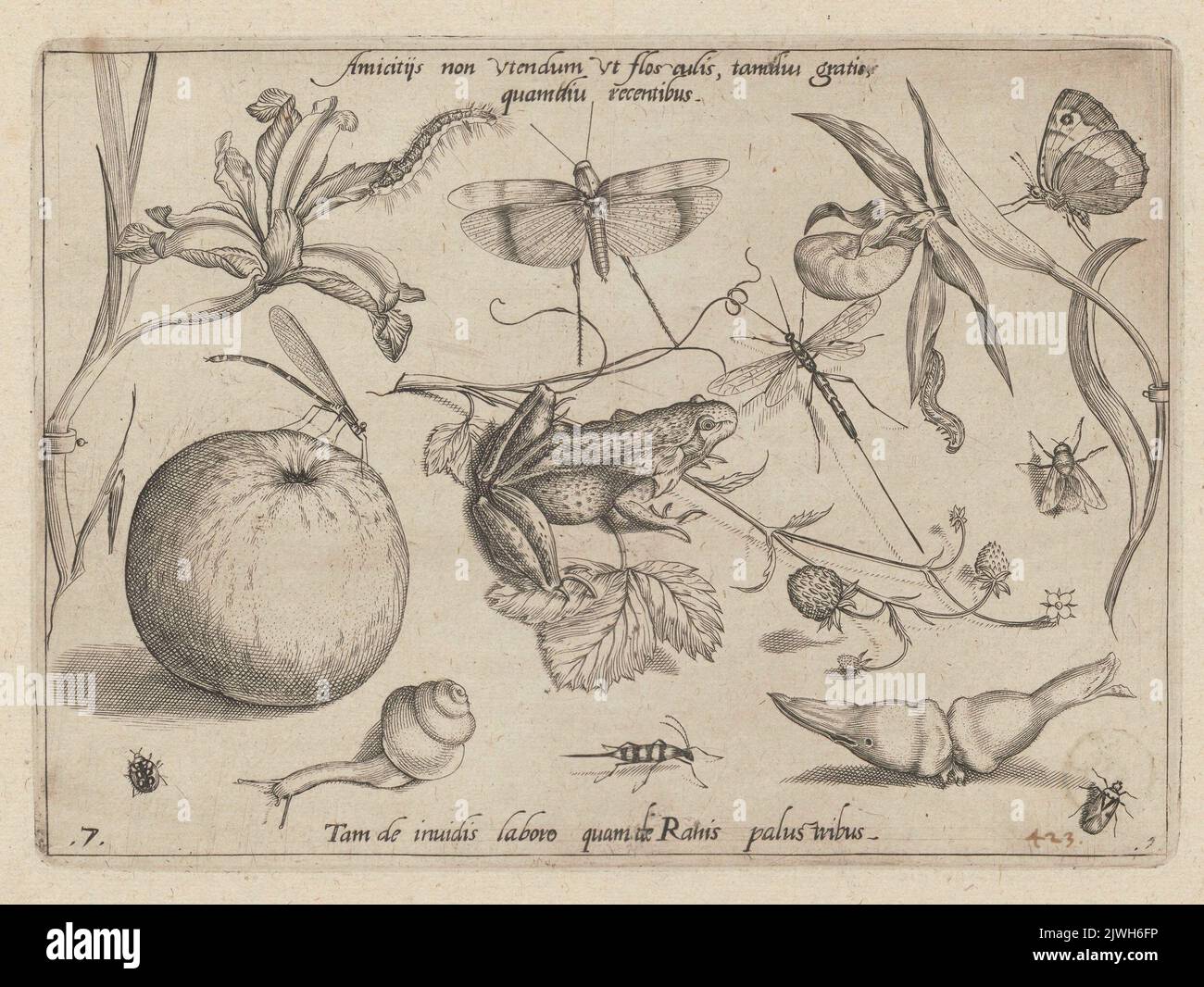 Studies of plants (e.g. currant, iris), insects (butterfly, dragonfly ...