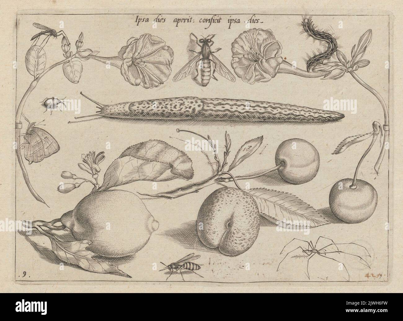 Studies of plants (e.g. lemons, cherries), insects (mosquito, fly ...