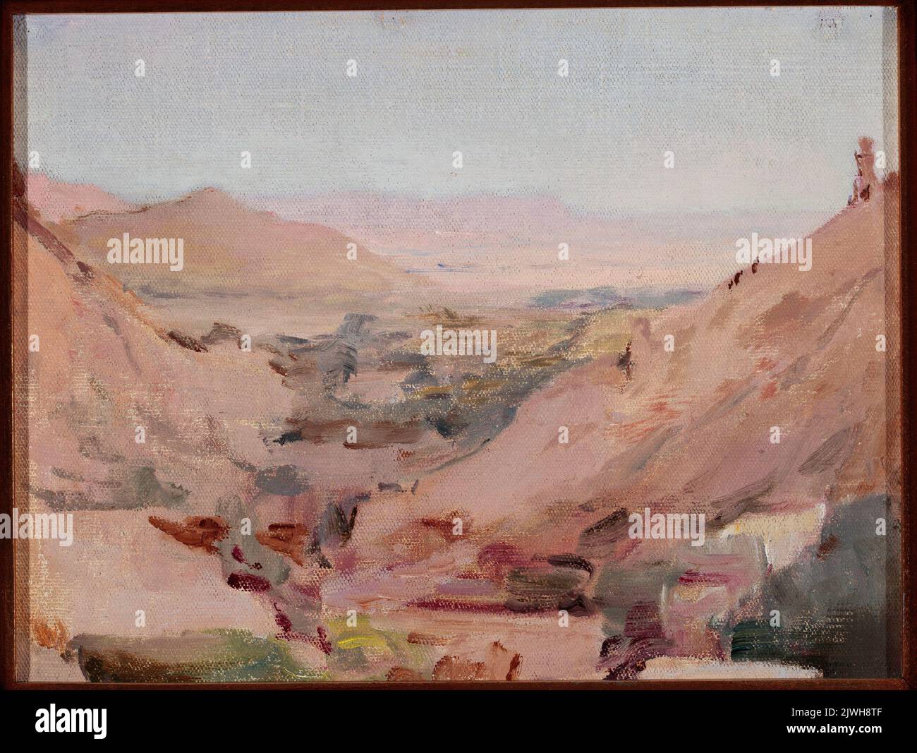 Remote Indian landscape. From the journey to India. Ciągliński, Jan ...