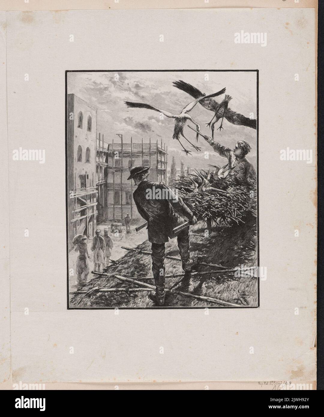 Removing a stork nest with young storks - “Make sure you do not hit ...