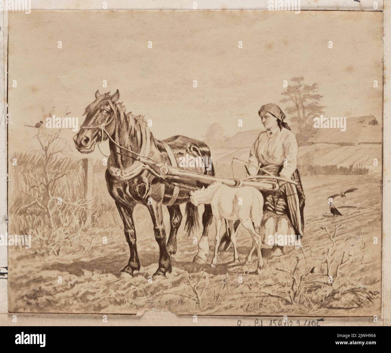 Woman ploughing with a sokha - reproduction of a painting (watercolour ...