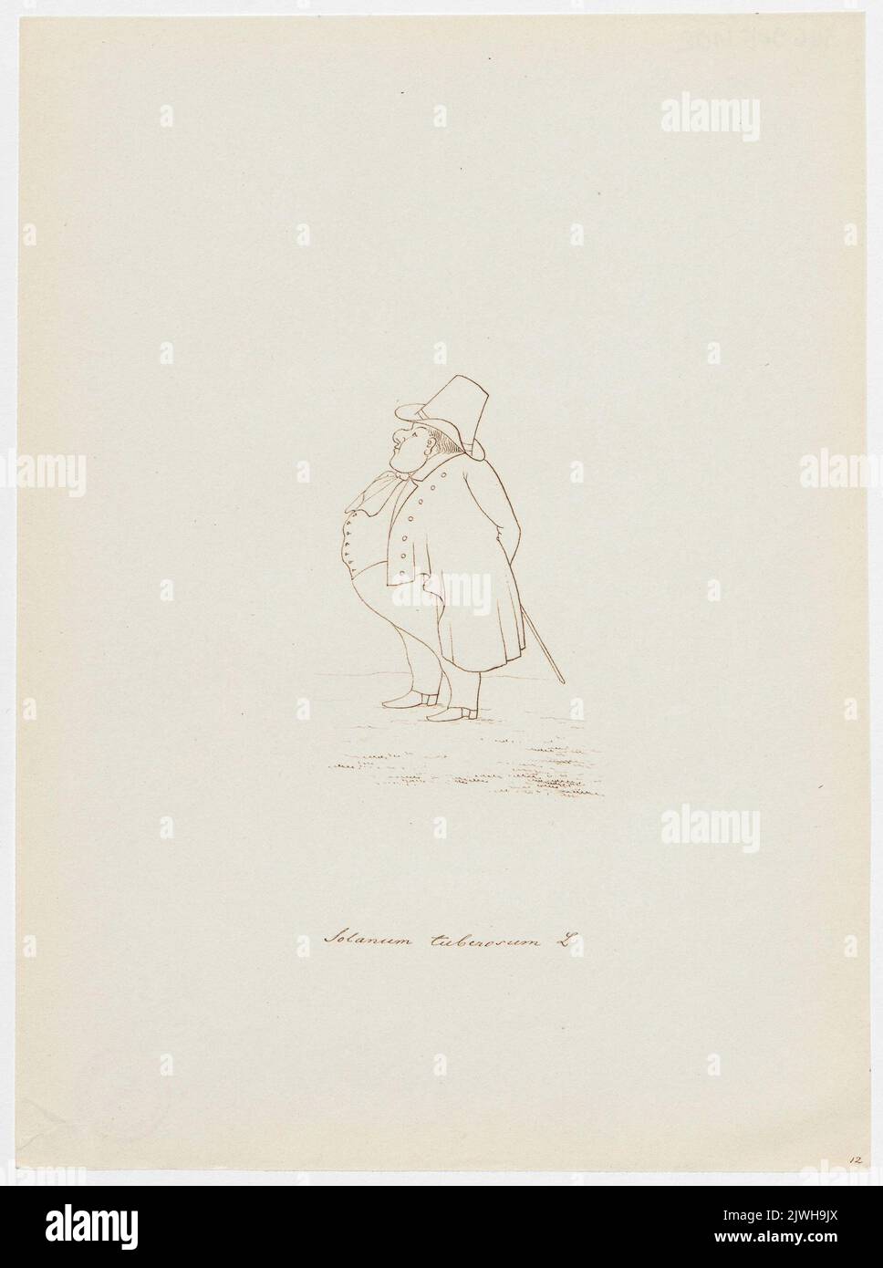 "Solanum tuberosum". Winkler, Karl Gustav Adolf (1810-1893 ...