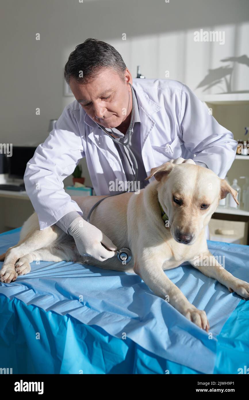 Annual physical exam hi-res stock photography and images - Alamy
