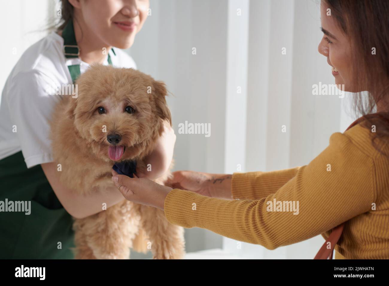 Medical nurse giving recovered dog to happy owner Stock Photo - Alamy