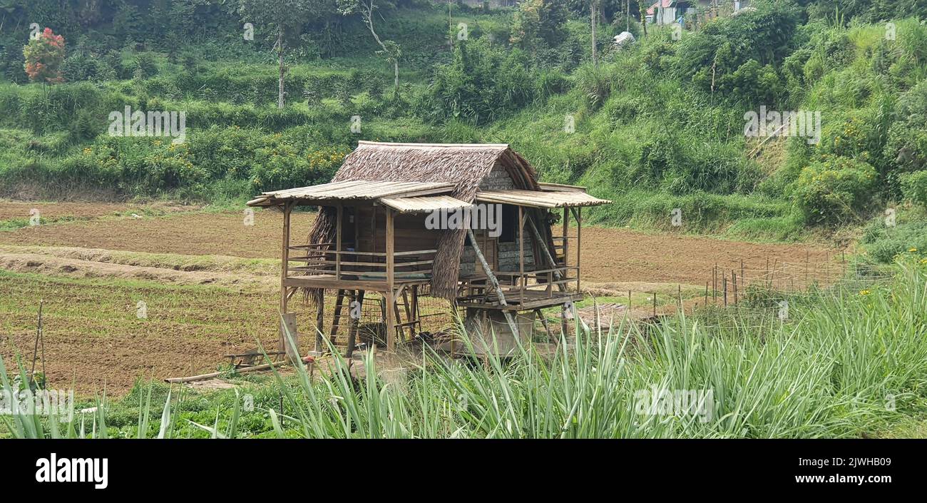 A small hut in an agricultural field in the countryside Stock Photo - Alamy