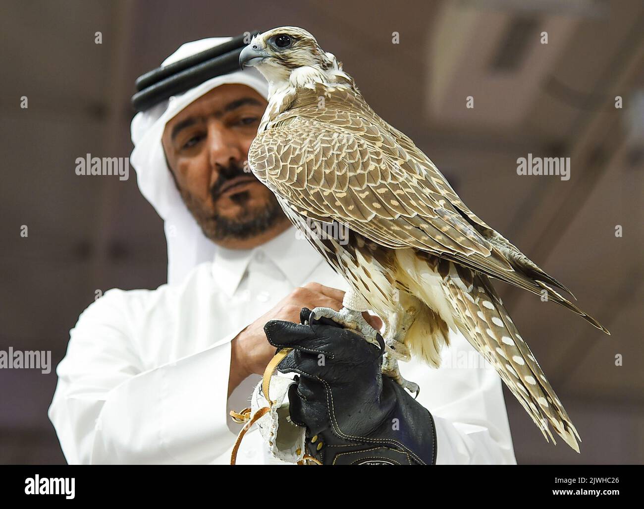 Doha, Qatar. 5th Sep, 2022. An exhibitor shows a falcon during the ...