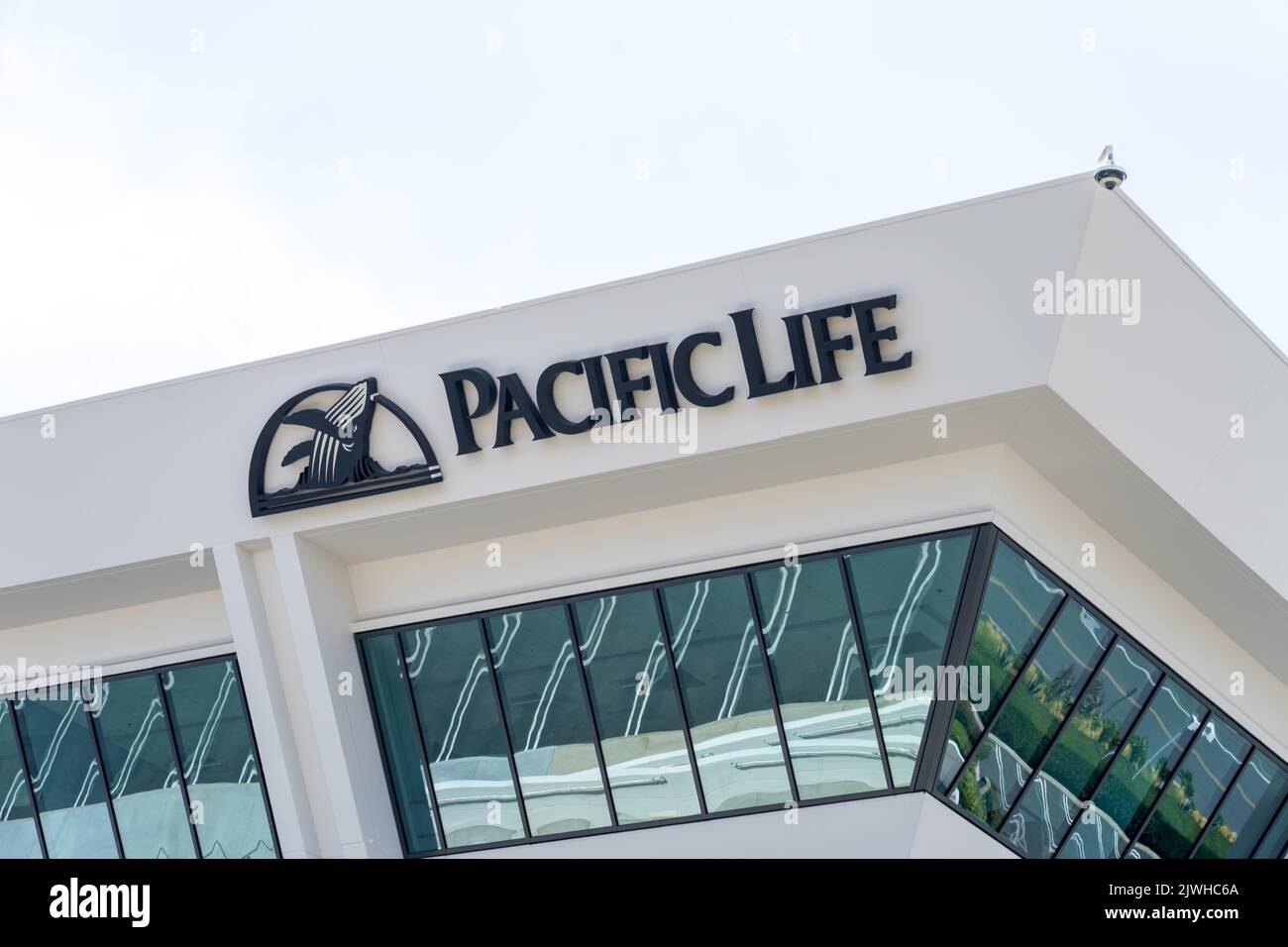 Pacific Life Logo Pacific Life RE – Apps On Google Play
