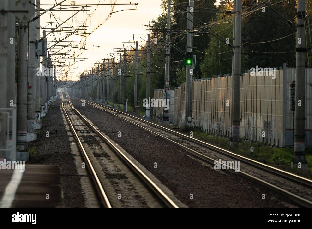 Empty railway tracks at sunset, forest on background. Perspective of ...