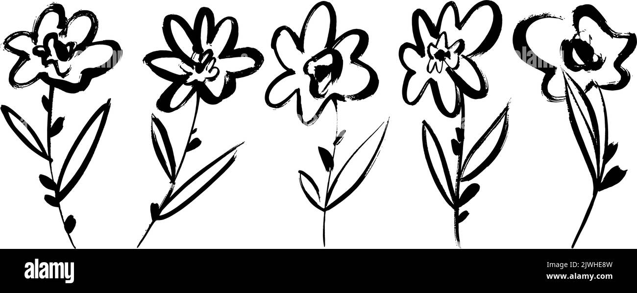 Set of hand drawn vector flowers stems Stock Vector Image & Art - Alamy