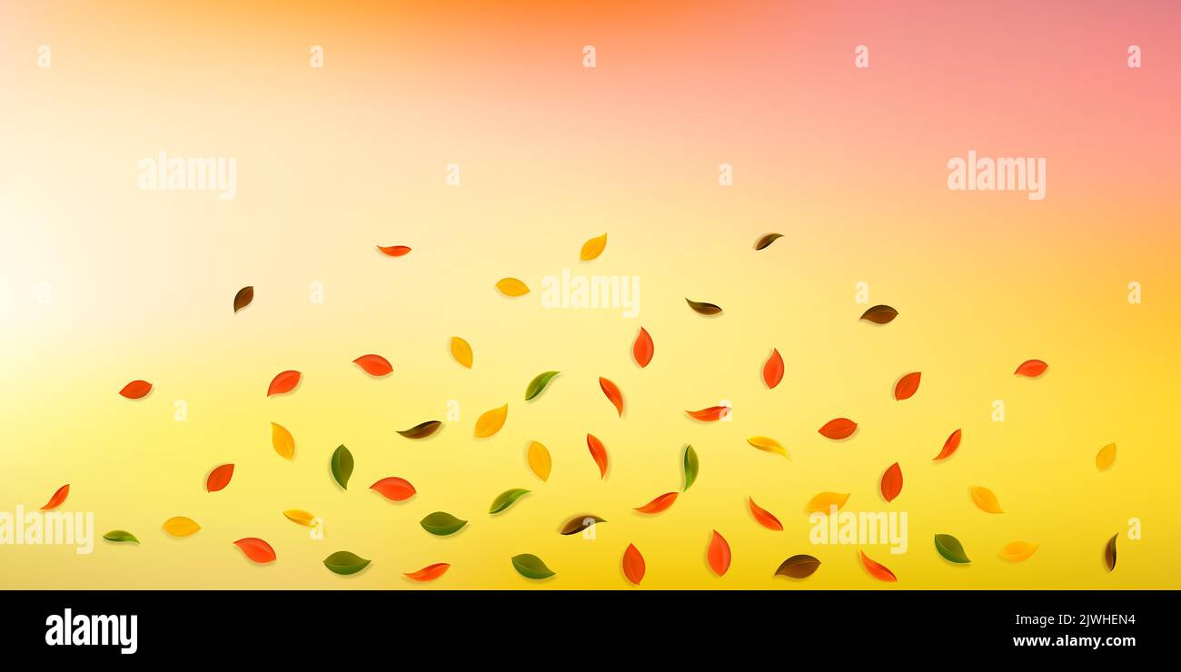 Falling autumn leaves. Red, yellow, green, brown random leaves flying. Explosion colorful ...