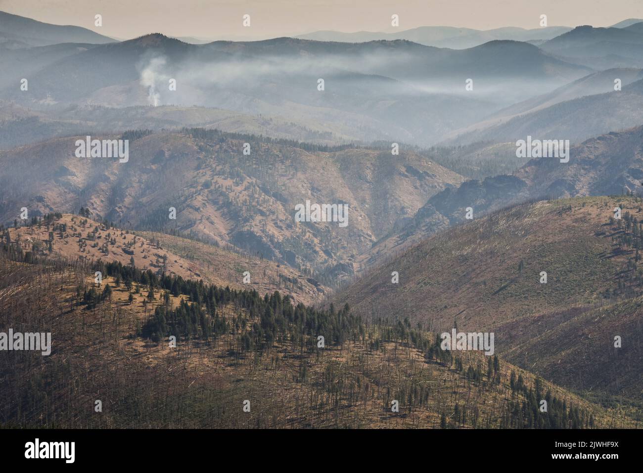 Smoke from a wildfire in the Selway-Bitterroot Wilderness, Idaho, USA ...