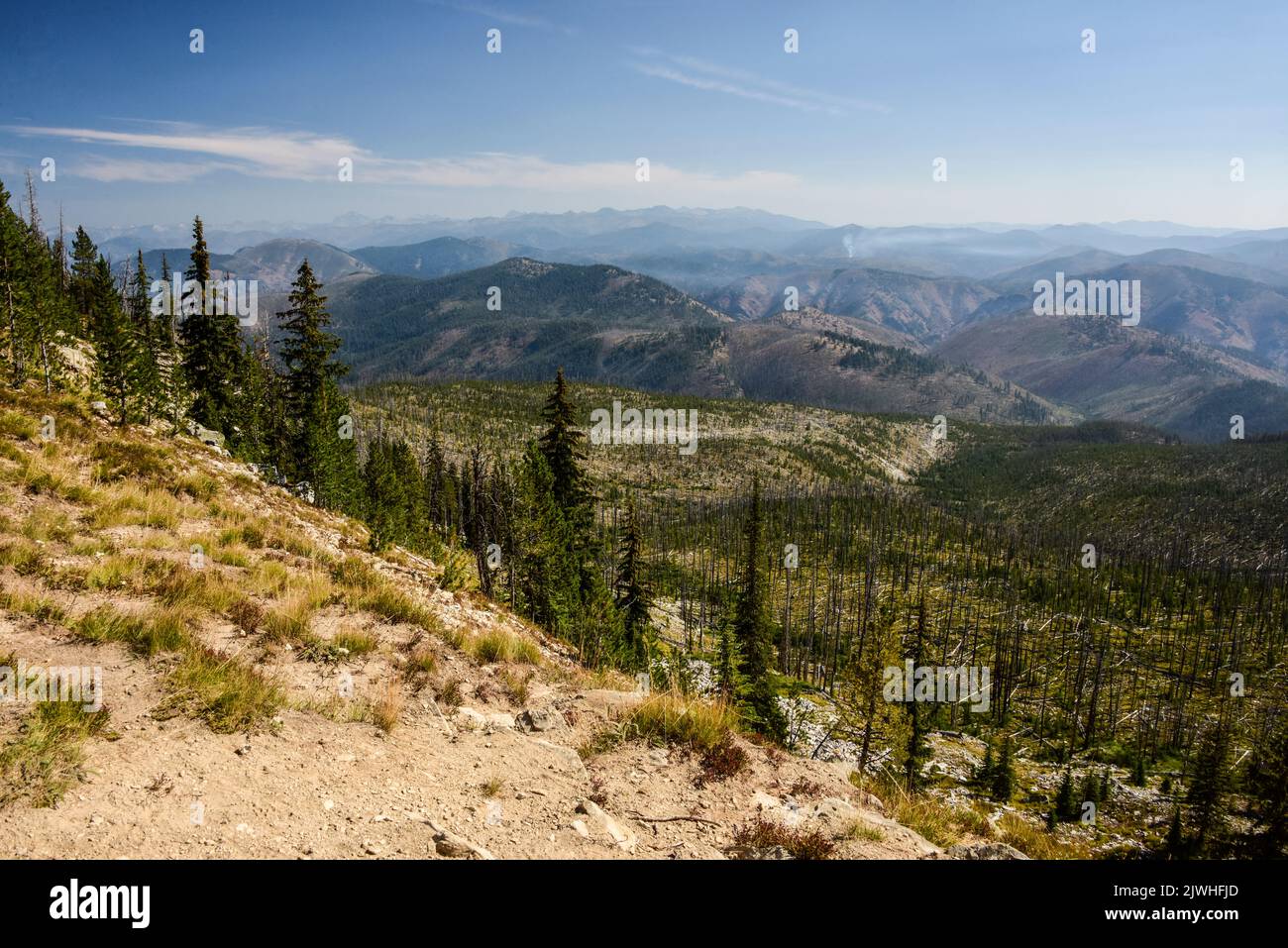 Looking into Selway-Bitterroot Wilderness from Magruder Corridor road ...