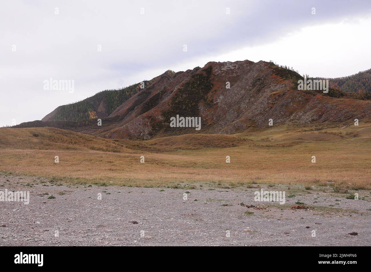 Rocky glade at the foot of a high cliff in the autumn steppe. Altai ...